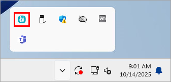 [KB7204] Using ESET Endpoint Encryption Go